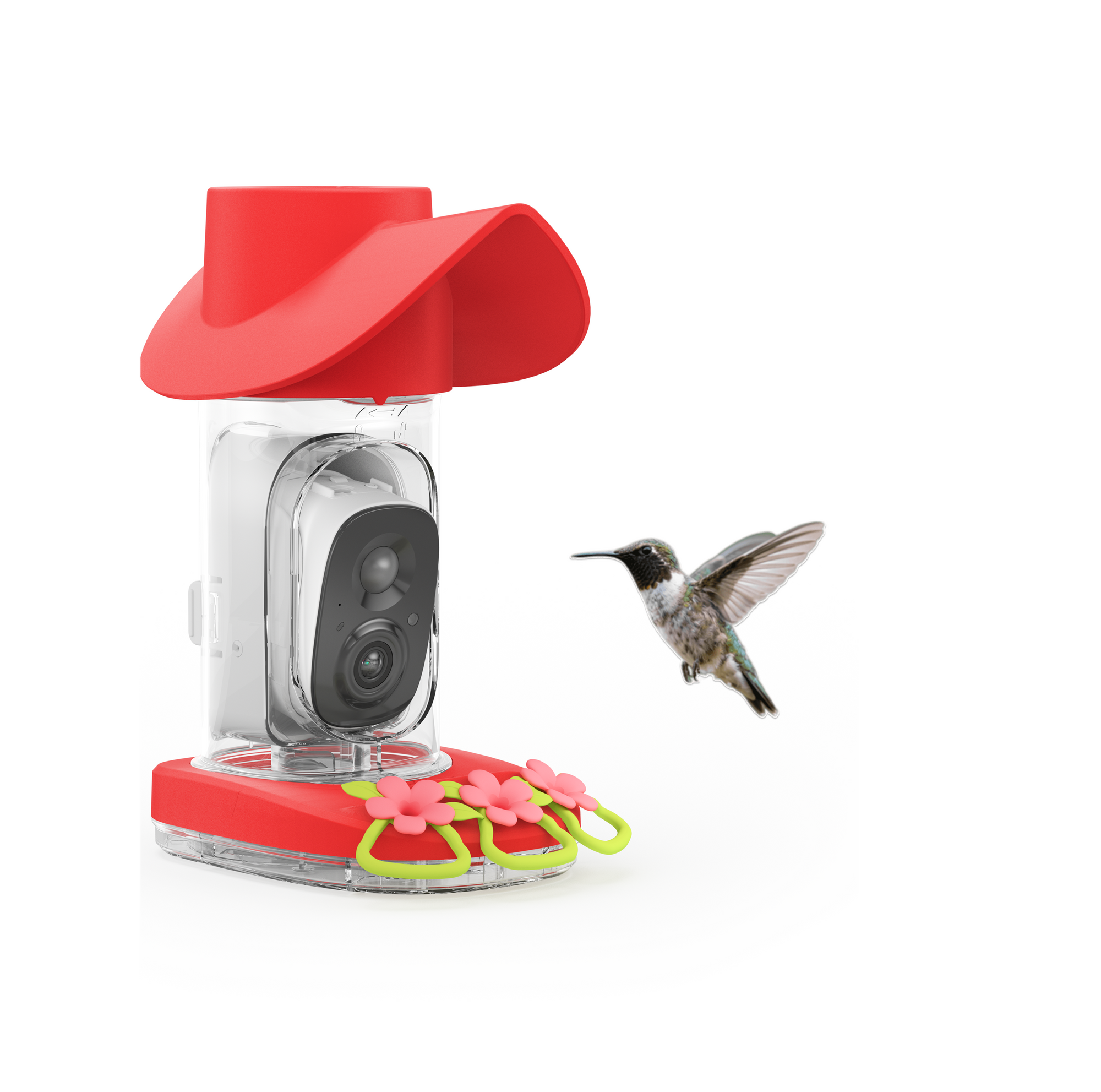 Hummingbird Feeder with Camera | Solar Powered AI Smart Feeder - BirdSnap