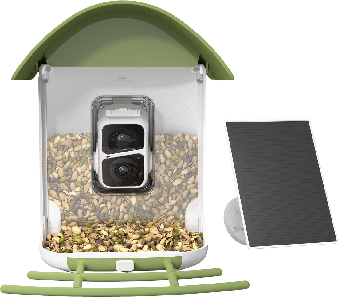 BirdSnap Smart Bird Feeder with HD Camera & AI Bird ID